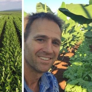 Consultants - Soil Food Web School - EN