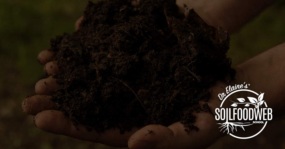 GTP : Product Overview - Soil Food Web School - Regenerating Soil