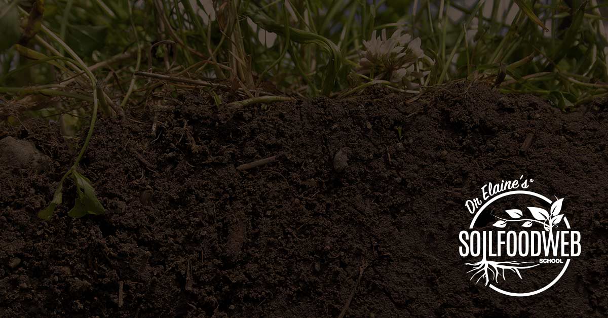 Laboratory Technicians - Soil Food Web School - Regenerating Soil