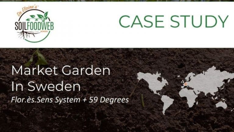 Case Studies - Soil Food Web School - Regenerating Soil