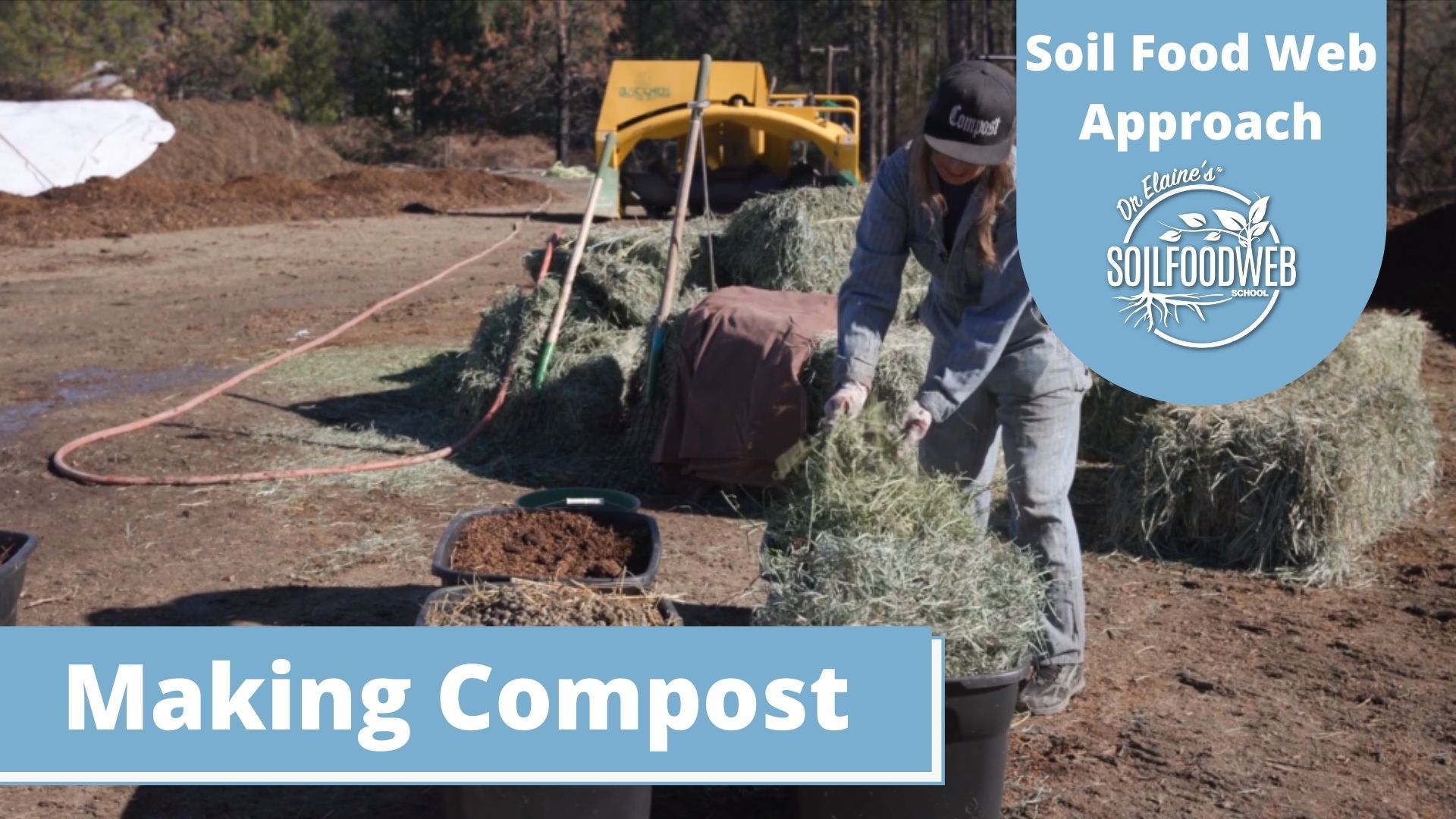 Soil Food Web Approach - Soil Food Web School