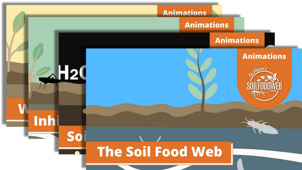 Soil Food Web Approach - Soil Food Web School