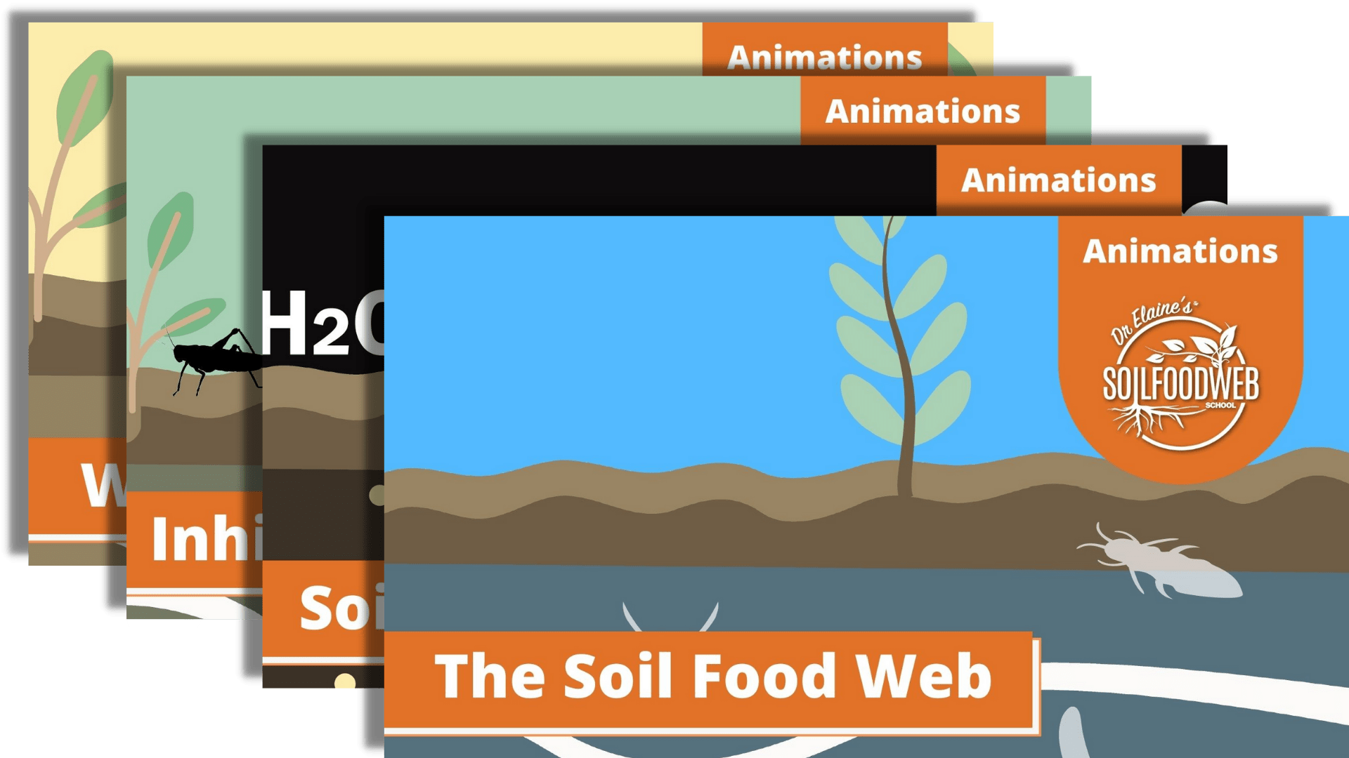 Soil Food Web Approach - Soil Food Web School