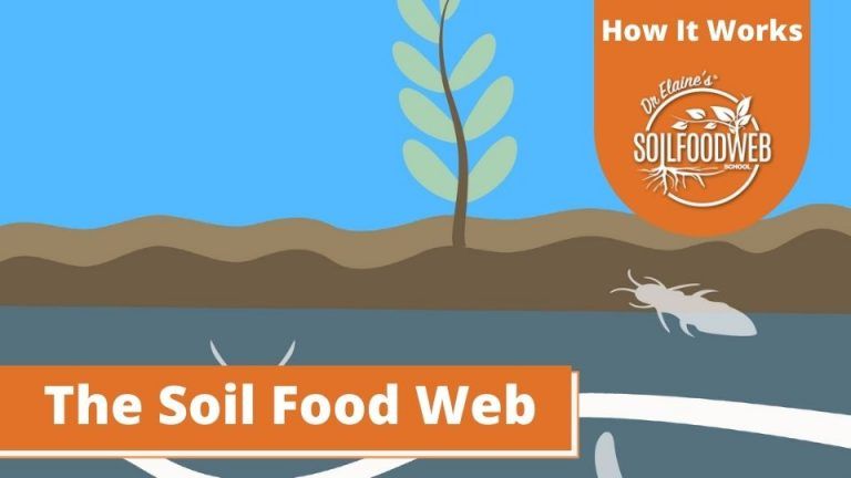 How it Works - Soil Food Web - Soil Food Web School - Regenerating Soil